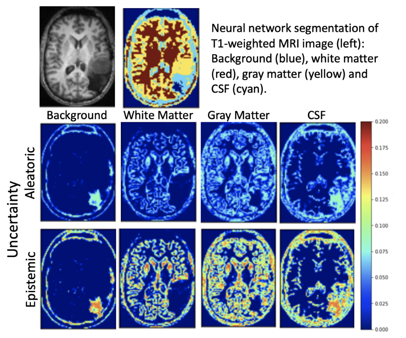 Quantifying Uncertainty in Neural Network Segmentation - RAIL Quantifying Uncertainty in Neural Network Segmentation - RAIL